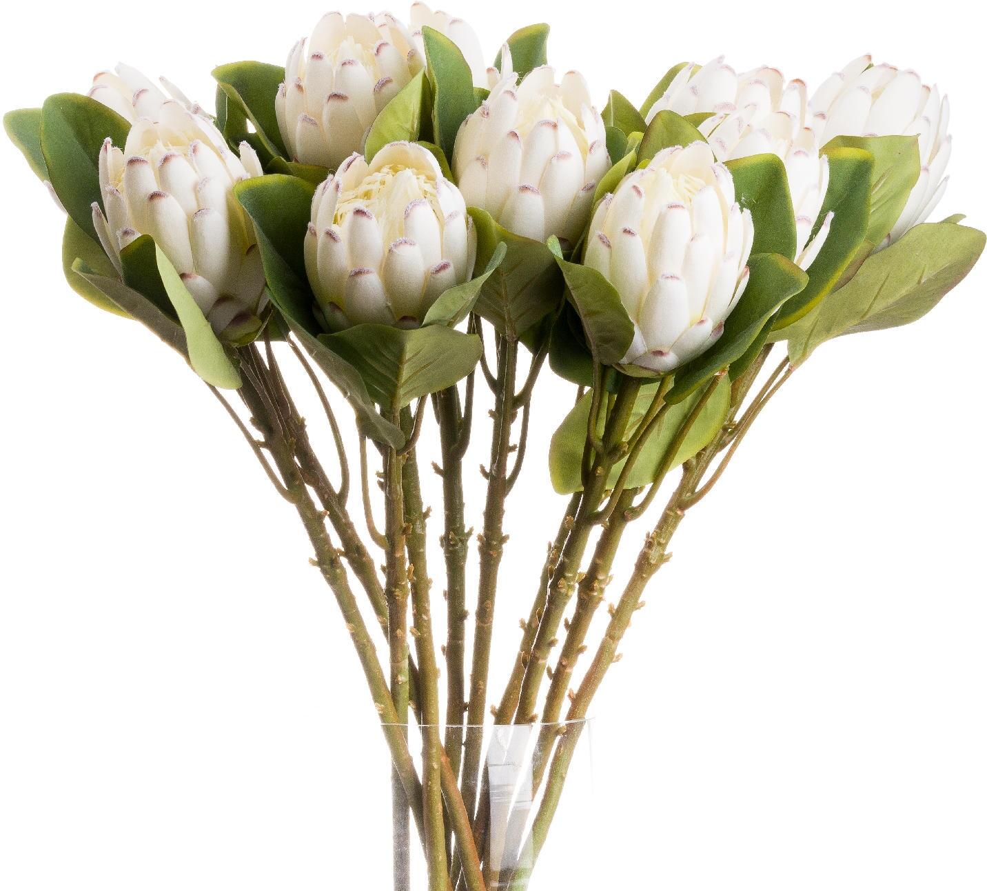 Closed White Protea - Unique and Beautiful Floral Display - No 10 Furniture